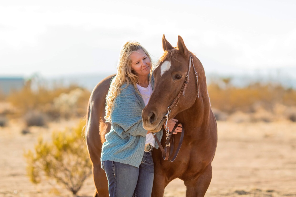 Our Horses – Rocking H Ranch